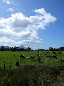 Early Retirement Extreme - Married (with Debt)